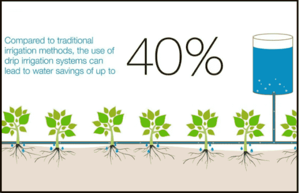 Drip Irrigation System Revolution In Pakistan: Best Guide 2023