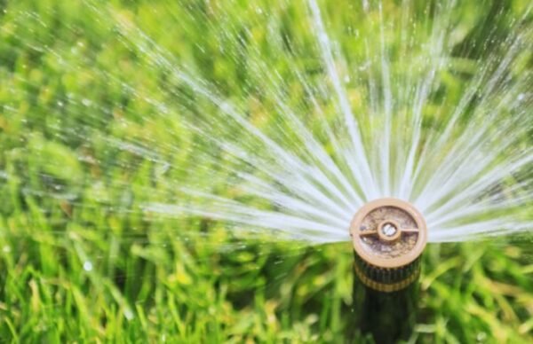 Add Drip Line To Sprinkler System Best 10 Steps