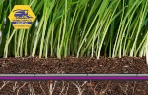 Subsurface Drip Irrigation: The Comprehensive Guide To Underground ...